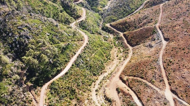 Muğla'da yanan ormanlık alanlar yeniden yeşeriyor - dikGAZETE.com - Son ... Muğla'da yanan ormanlık alanlar yeniden yeşeriyor - dikGAZETE.com - Son ...